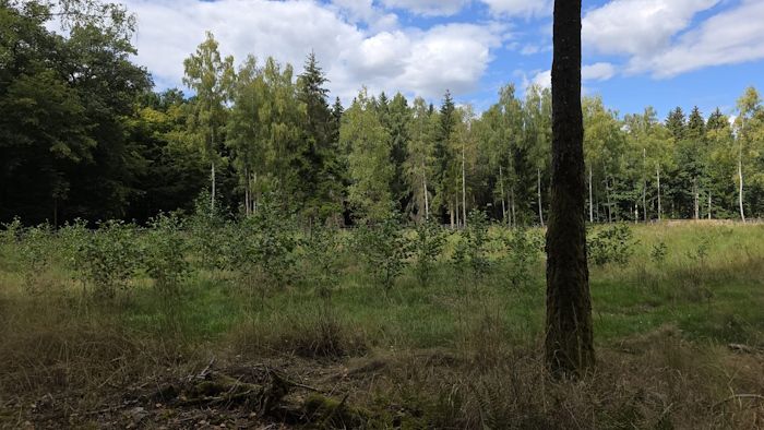 Nachhaltigkeit bei Camping Wagner