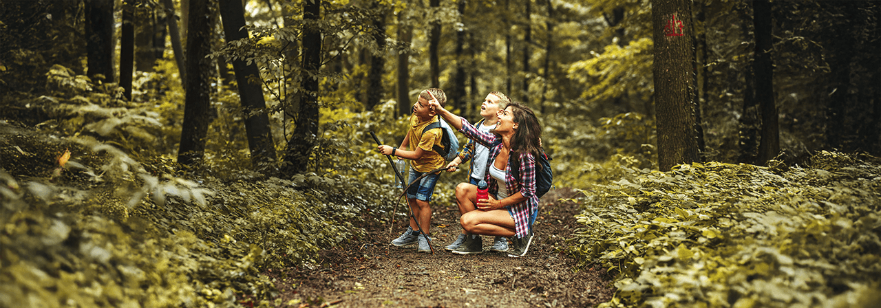 Ideen & Trends: Inspirationen für dein Campingabenteuer